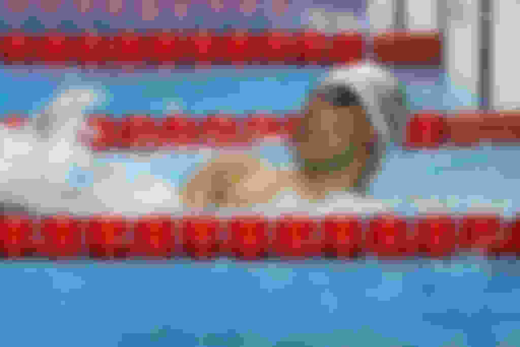 100 things to know about the Paralympic Games