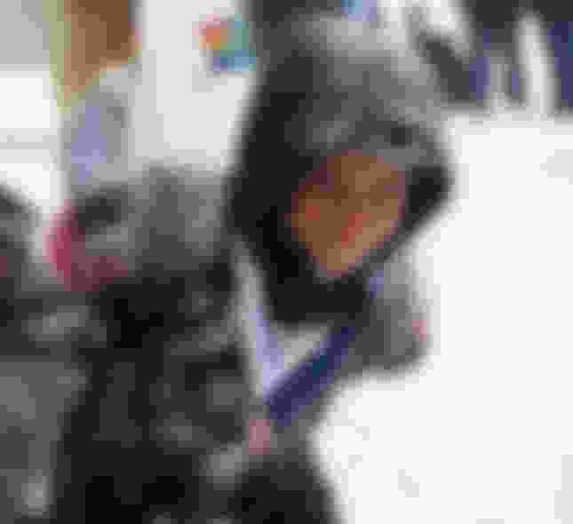 USA snowboarder Cody Winters: Washing windows to finance an Olympic dream