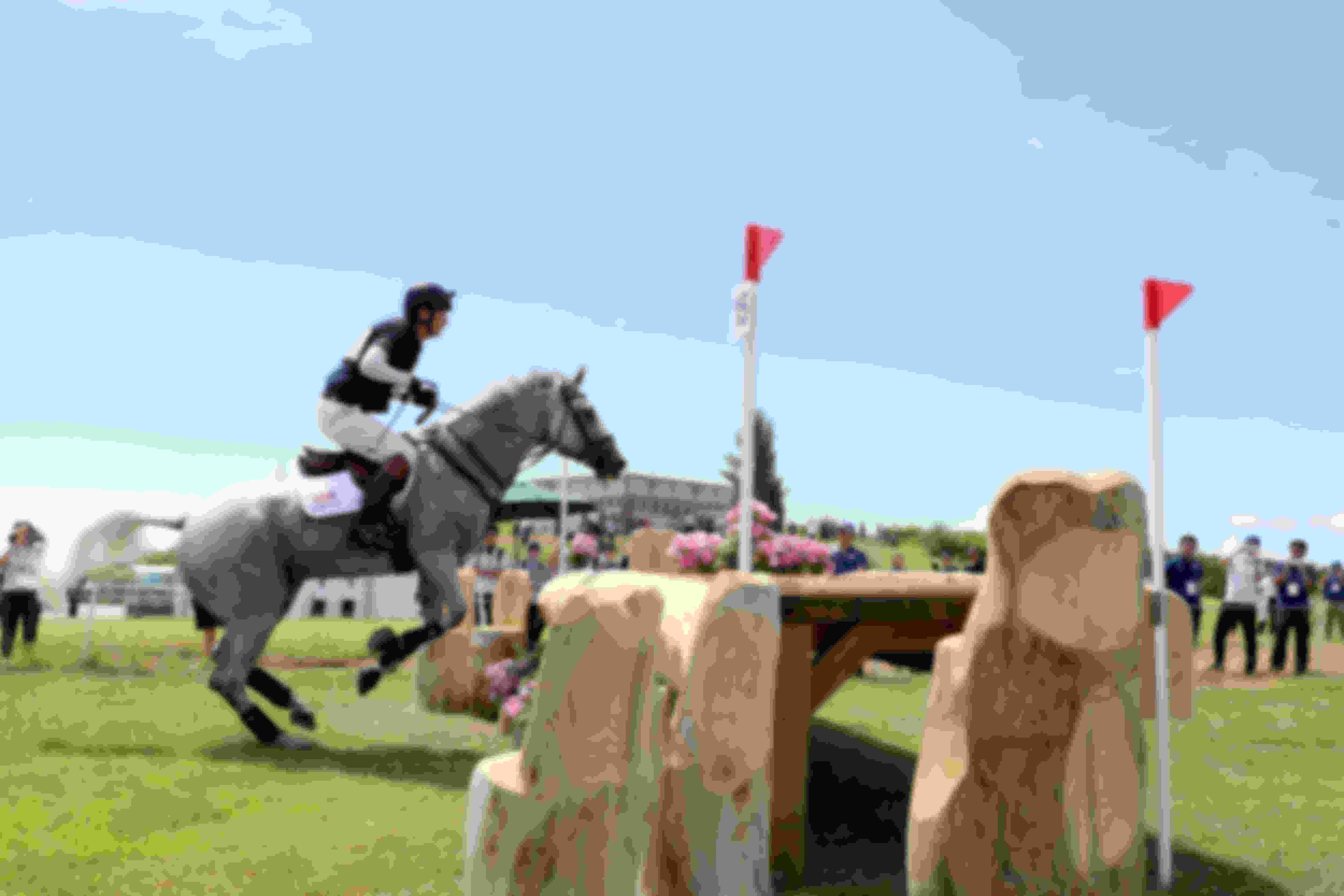 Equestrian Cross-Country