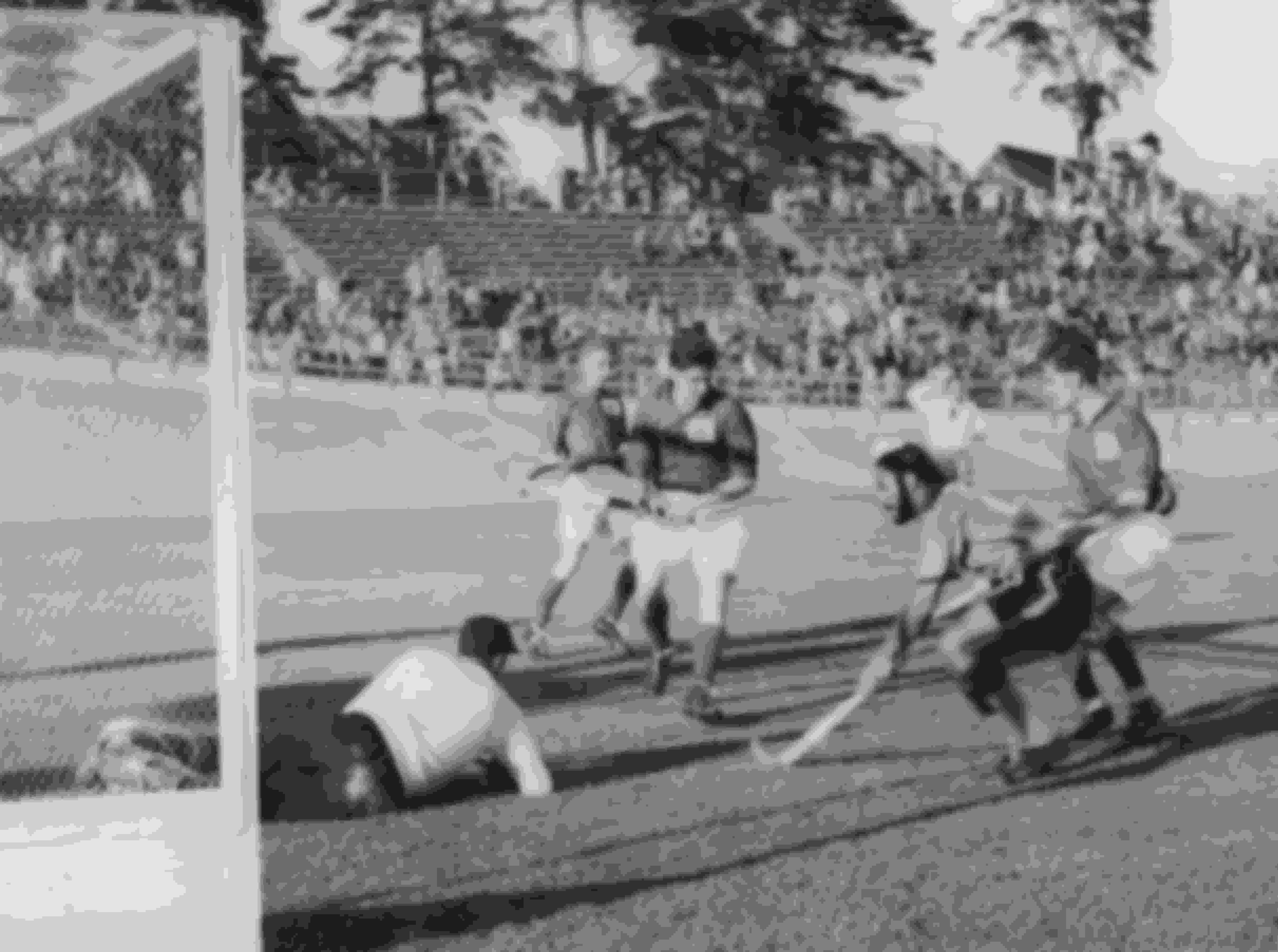 What is the national game of India?