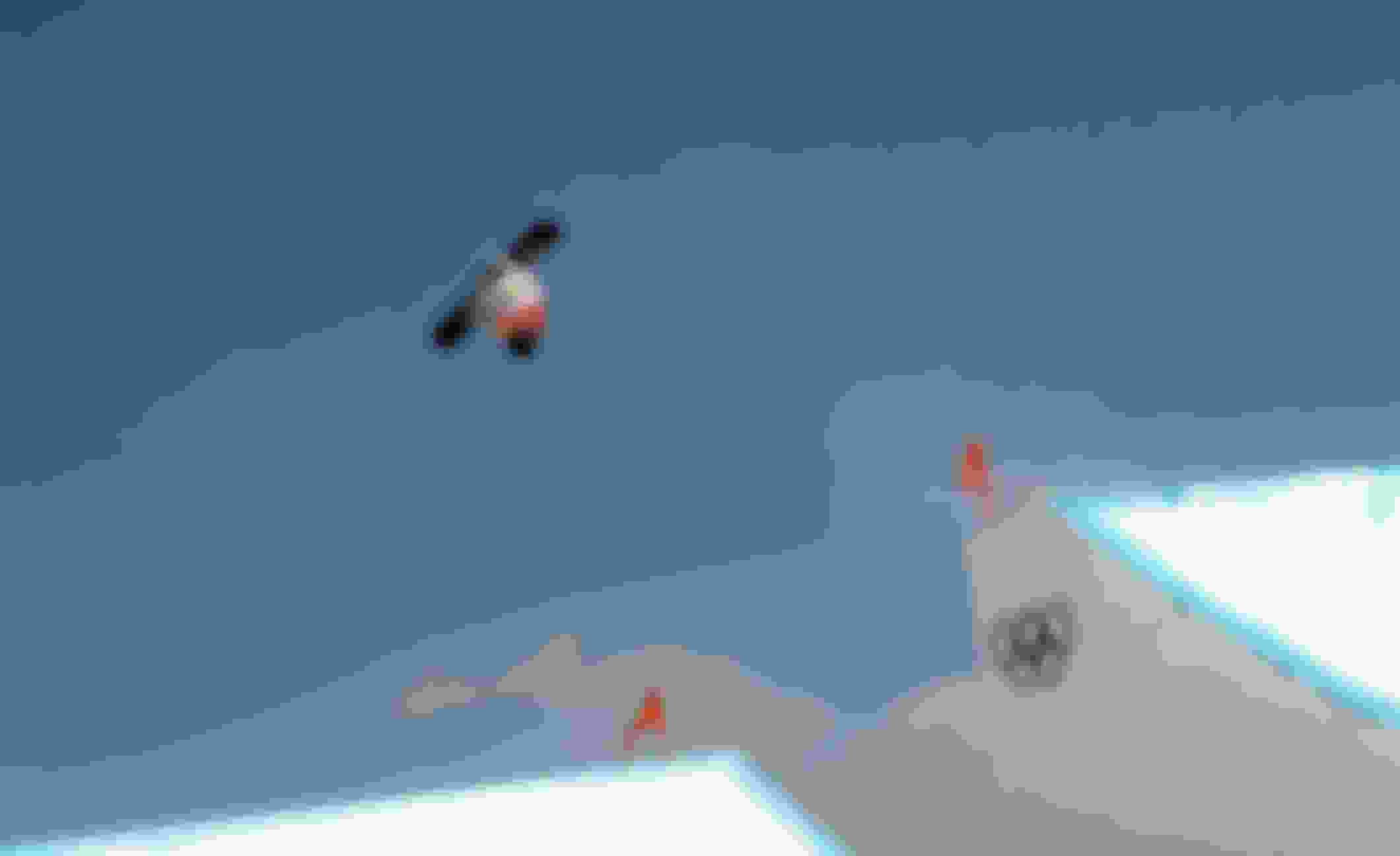 Seventeen-year-old Redmond Gerard grabs first gold for USA in ...