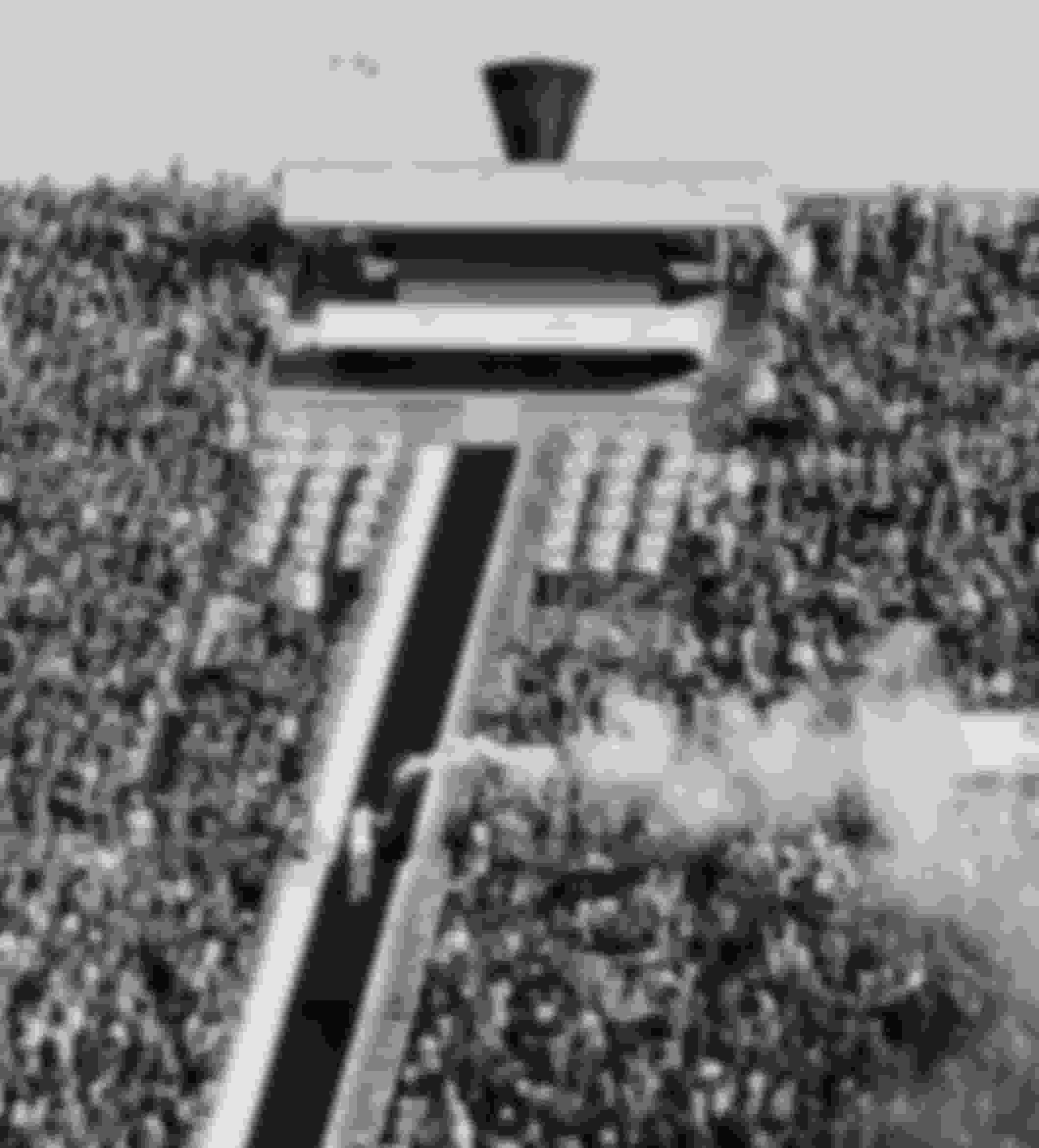 Tokyo 1964: A remarkable success story - Olympic News