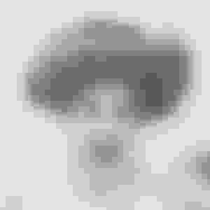 런던 1908 올림픽 선수 - 경력, 메달 등