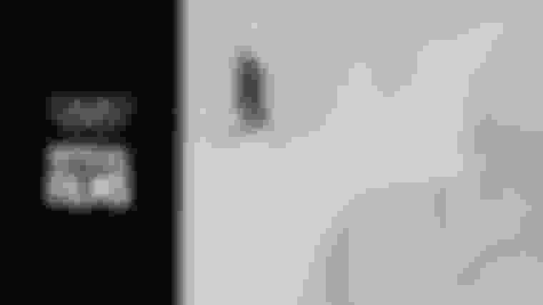 Calgary 1988 Olympic Videos - Replays from the 1988 Games