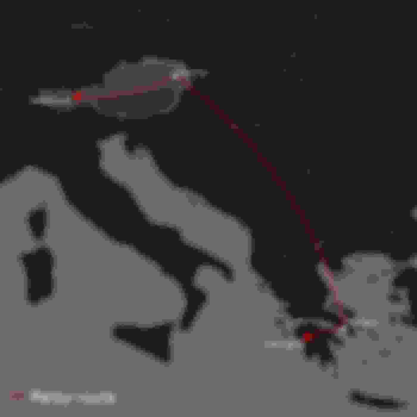 Innsbruck 1964 Olympic Torch Relay - Highlights