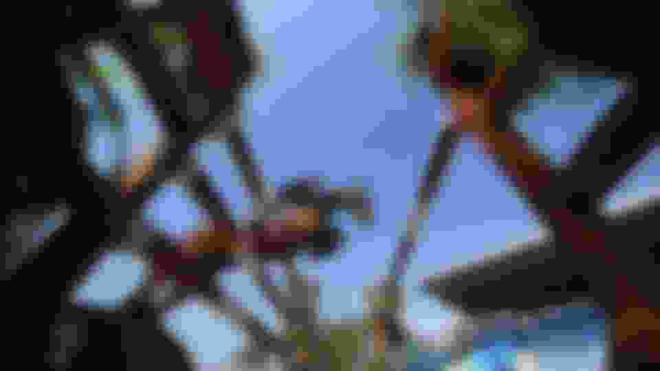 Equestrian: Rules, Regulations and all you need to know