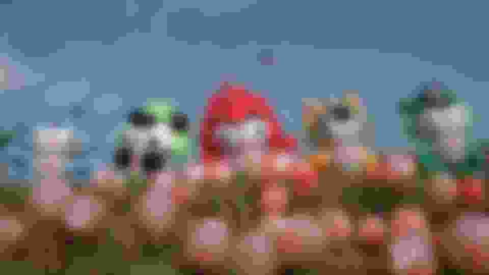 Beijing 2008 Olympic Mascots - Photos and History