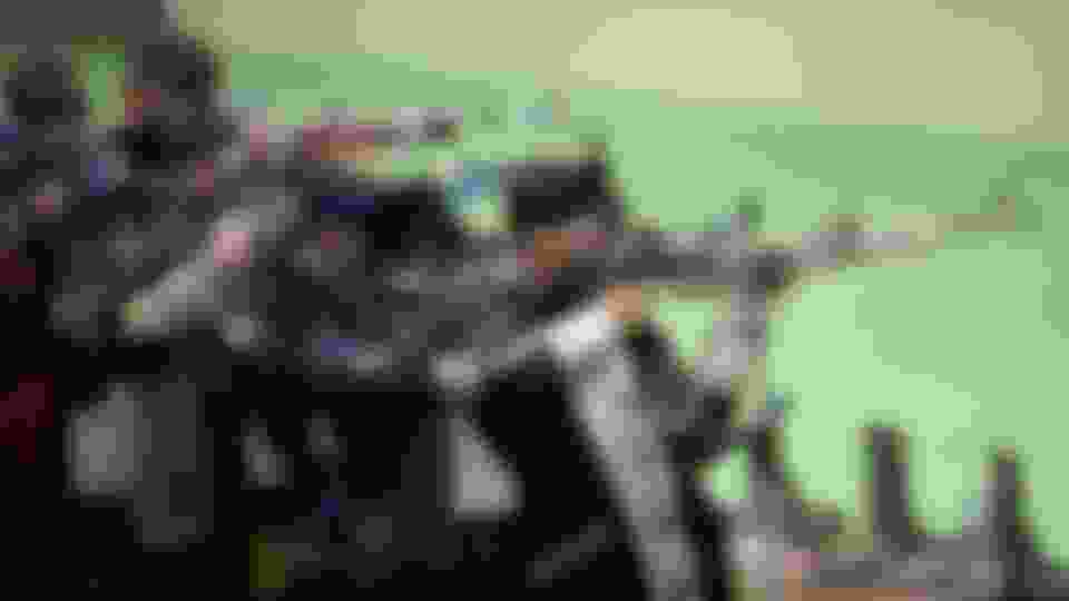 Olympic shooting: Know the disciplines, categories and rules