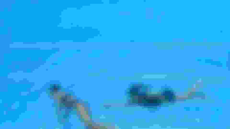 Hero coach Andrea Fuentes speaks about saving "one of the humans I love ...