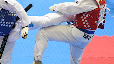 Overview - Taekwondo | Olympic Qualifier | Grand Prix | Paris
