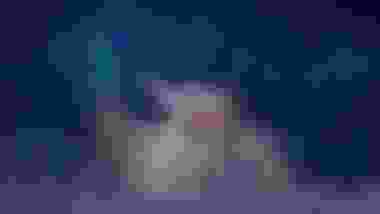 Turin 2006 Winter Olympics - Athletes, Medals & Results