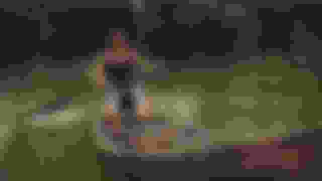 Canoe Flatwater: Olympic history, rules, latest updates and upcoming ...