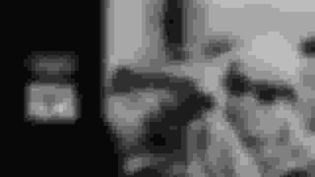 Munich 1972 Summer Olympics - Athletes, Medals & Results