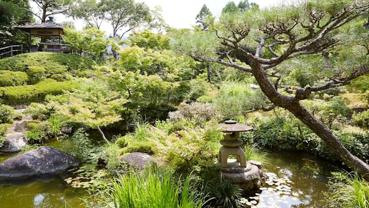 Explore Osaka, Nagoya and the Kii Peninsula