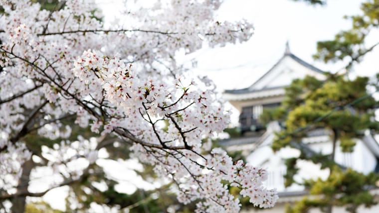 Explore Osaka, Nagoya and the Kii Peninsula