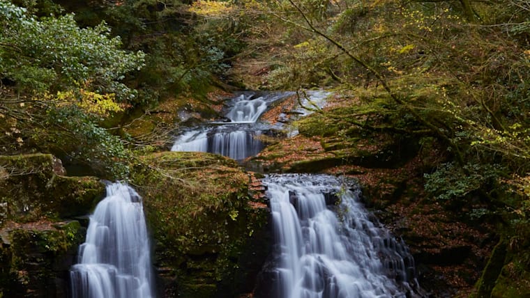 Explore Osaka, Nagoya and the Kii Peninsula