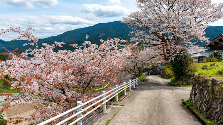 Explore Osaka, Nagoya and the Kii Peninsula