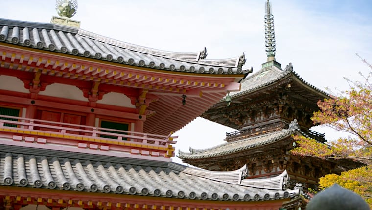 Explore Osaka, Nagoya and the Kii Peninsula