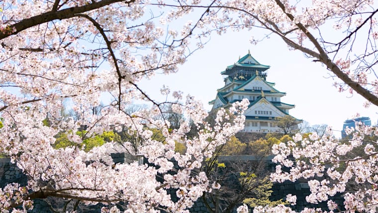 Explore Osaka, Nagoya and the Kii Peninsula