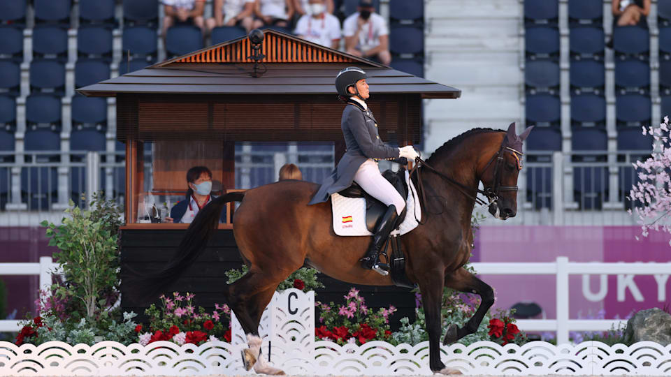 Equestrian photos - Day 5