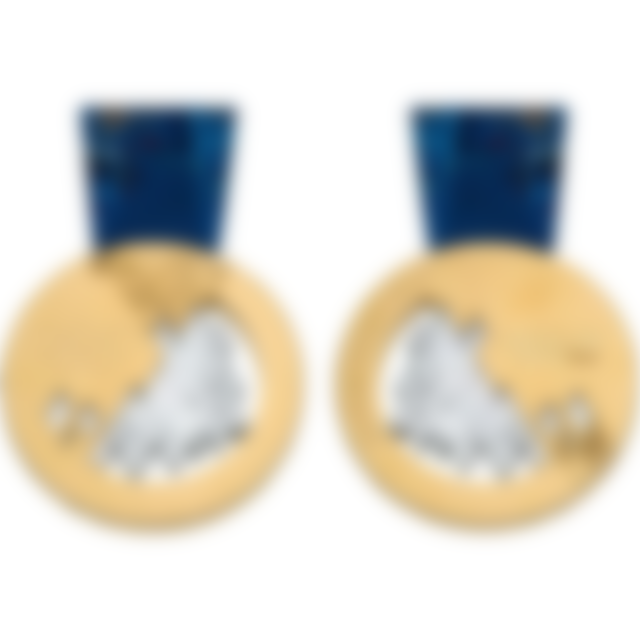 Sochi 2014 Olympic Medals - Design, History & Photos