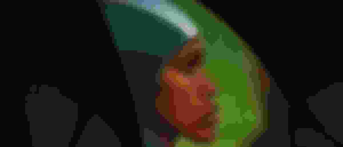 Juegos Olímpicos de Sídney 2000 - Atletas, medallas y resultados