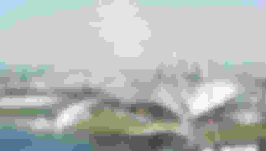 Gary Hall Sr, the three-time Olympian whose roommate put him in the ...