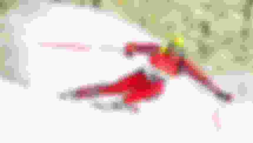 Hermann Maier A Spectacular Crash In The Downhill Followed By Two