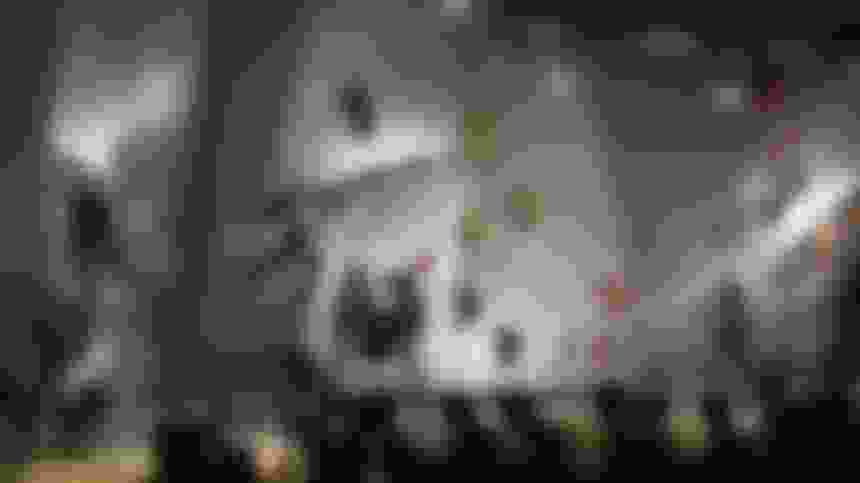 Quick guide: What is sport climbing? | Olympic Channel