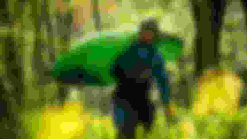 Rok Rozman: From Olympian to eco-activist helping save Europe's last ...