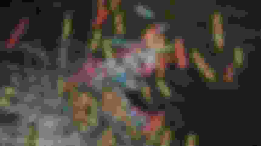 Rok Rozman: From Olympian to eco-activist helping save Europe's last ...