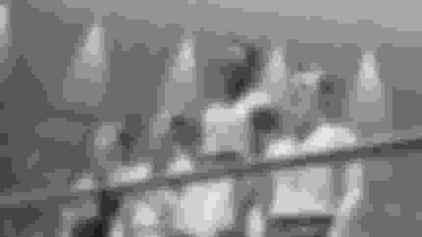 Olympic boxing: Know the rules, qualification process and more