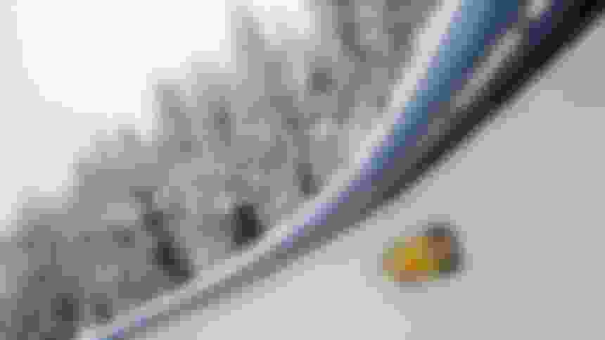 What is the new female-only Olympic monobob event in Beijing 2022?