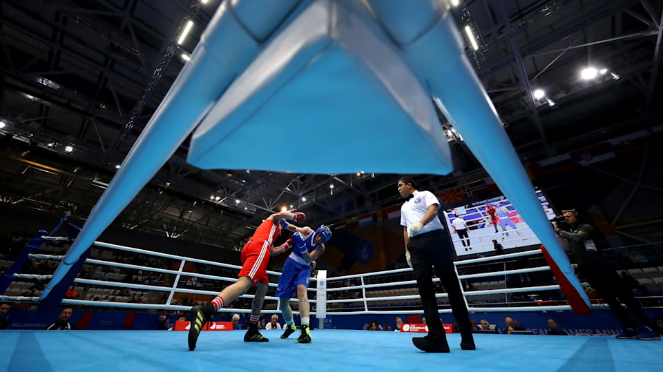 Are Male Or Female Boxers Easier To Train