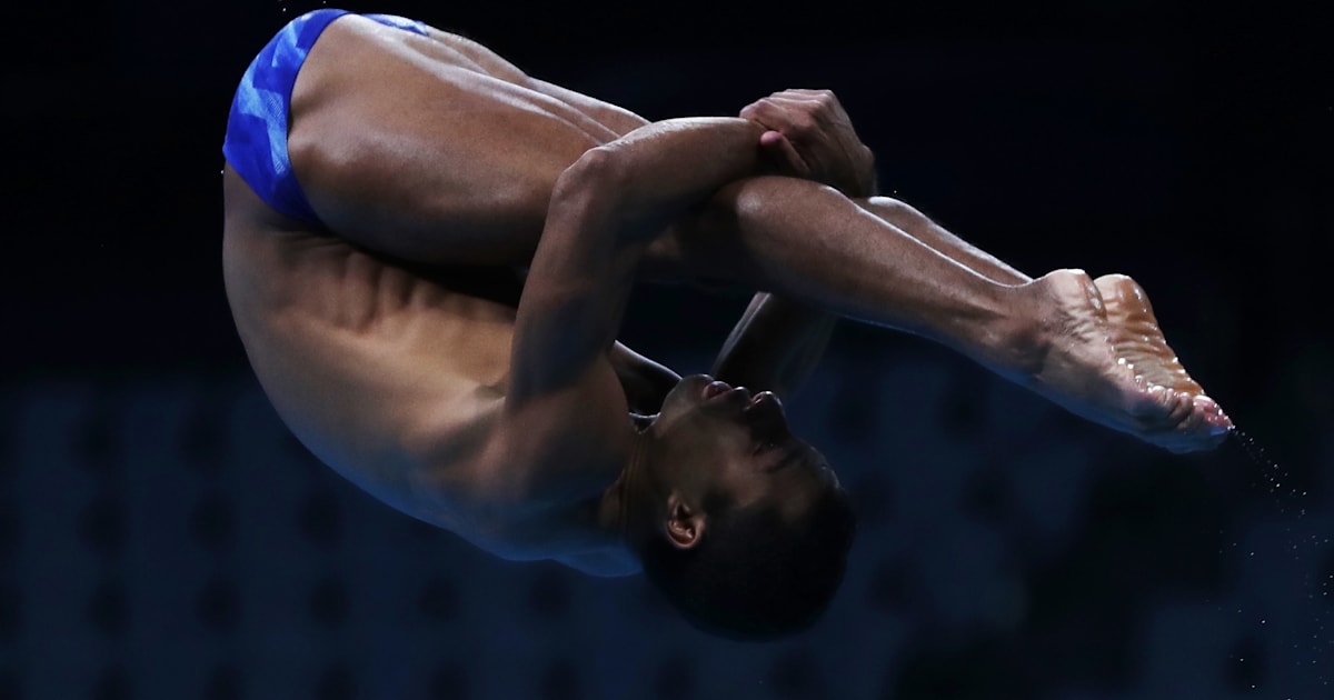 Plongeon photos - Jour 11