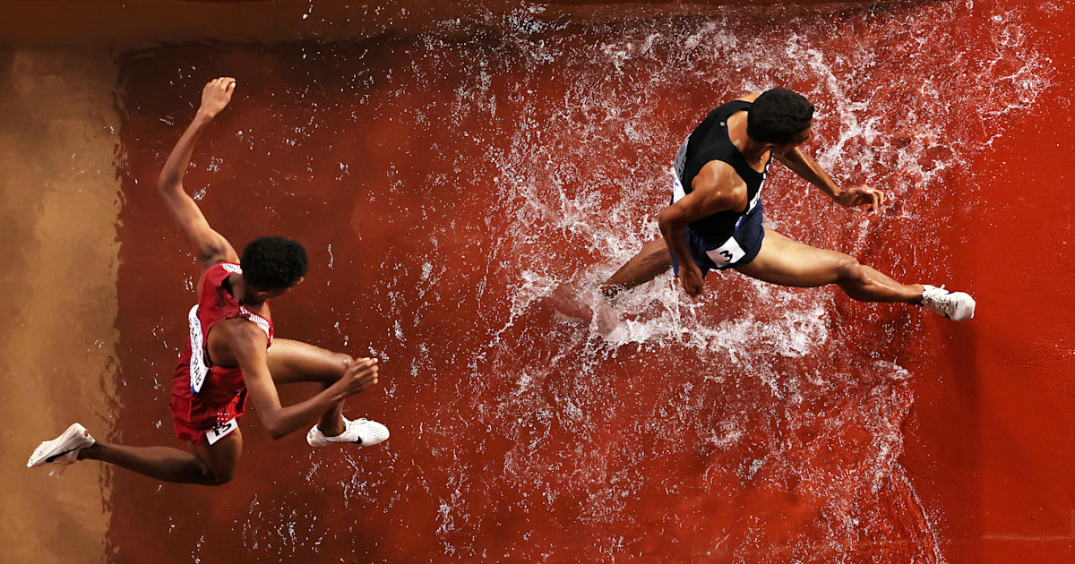 Steeplechase: Rules, regulations and all you need to know