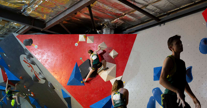 Free Solo star Alex Honnold's beginners guide to climbing